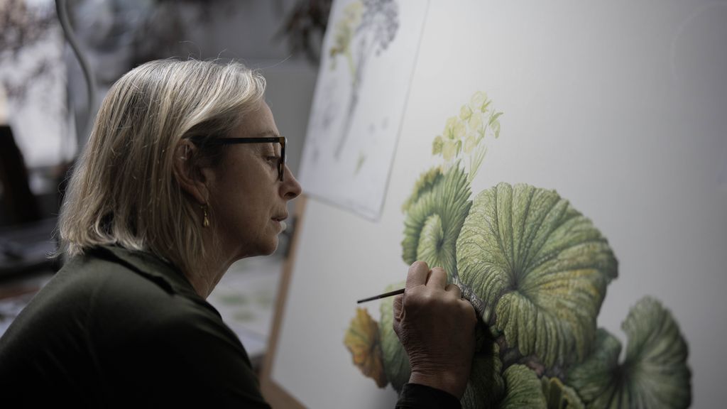Meet botanical illustrator Maura Chamberlain - ABC News