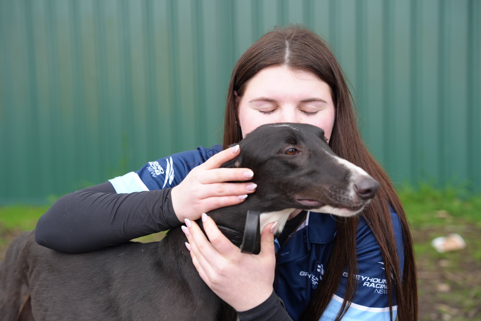 NSW greyhound trainers insist industry has changed despite harrowing ...