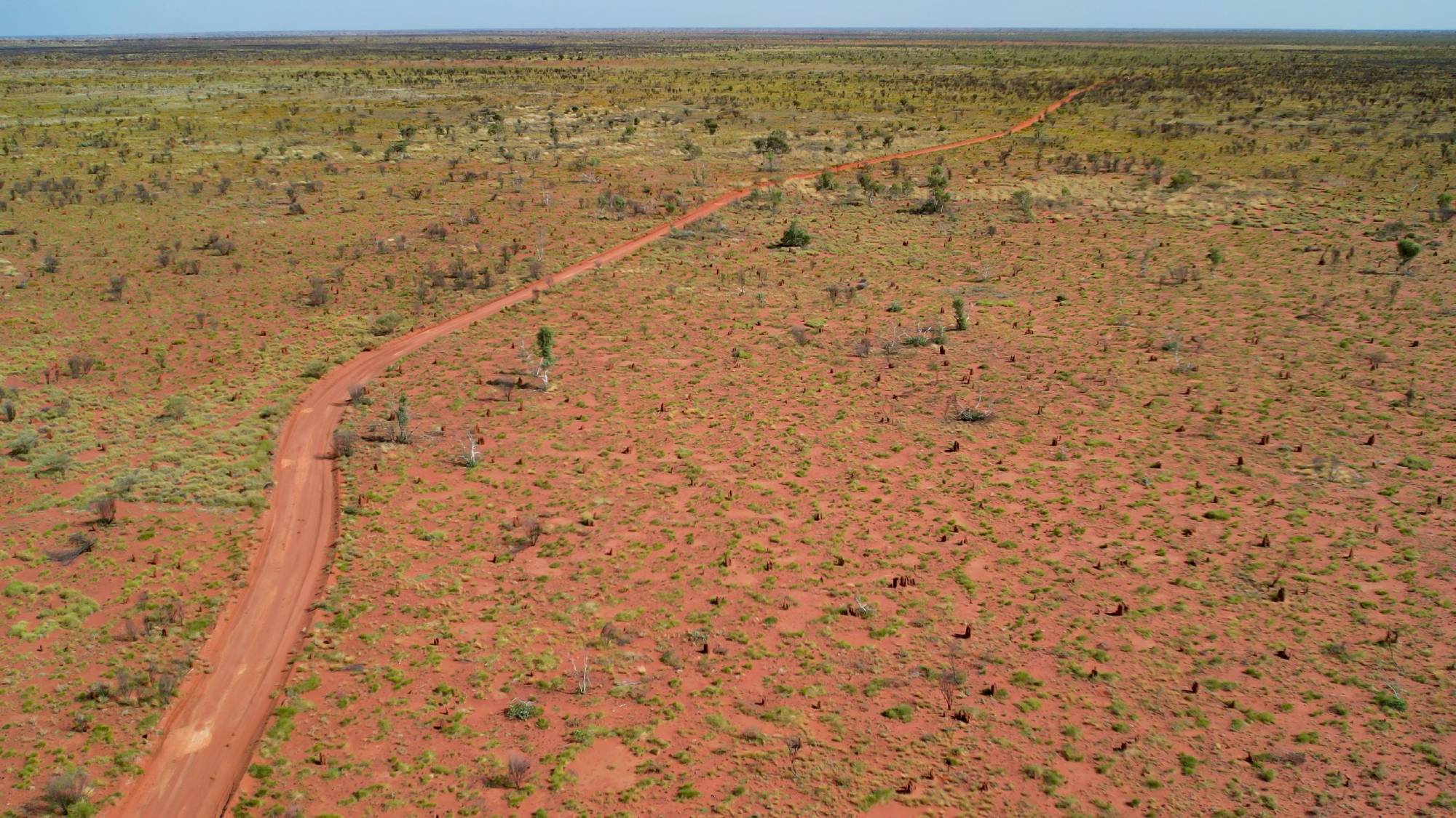 From the sands of time, the Pintupi Nine were thrust into the glare of ...