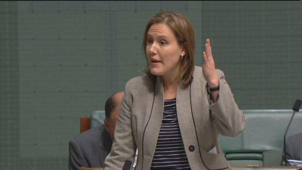 Coalition attacks Government 'handbag hitsquad' - ABC News