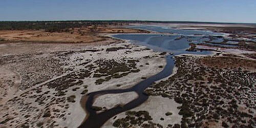 The drought along the Murray - ABC News