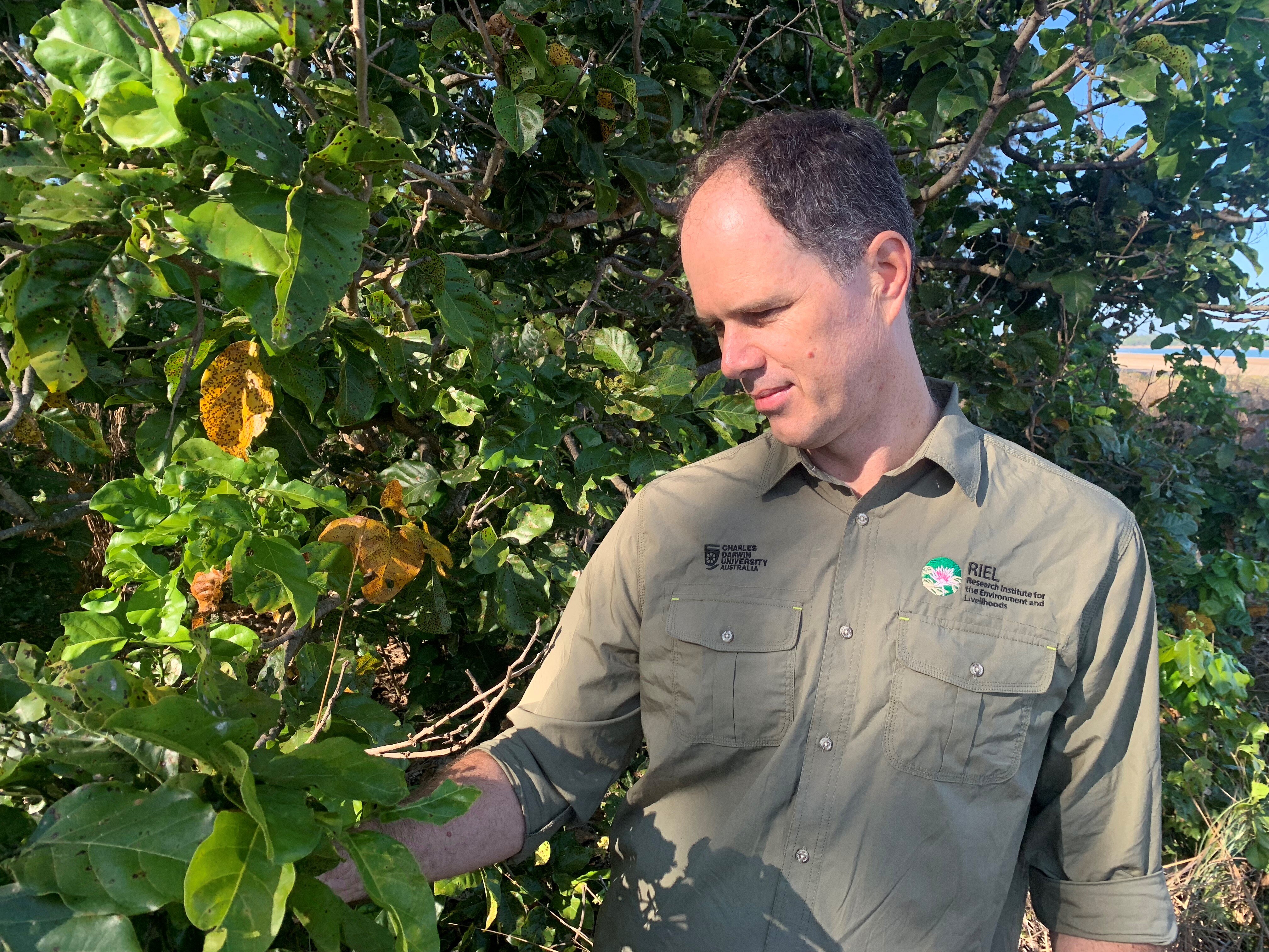 Lee Point, Middle Arm developments will threaten populations of ...