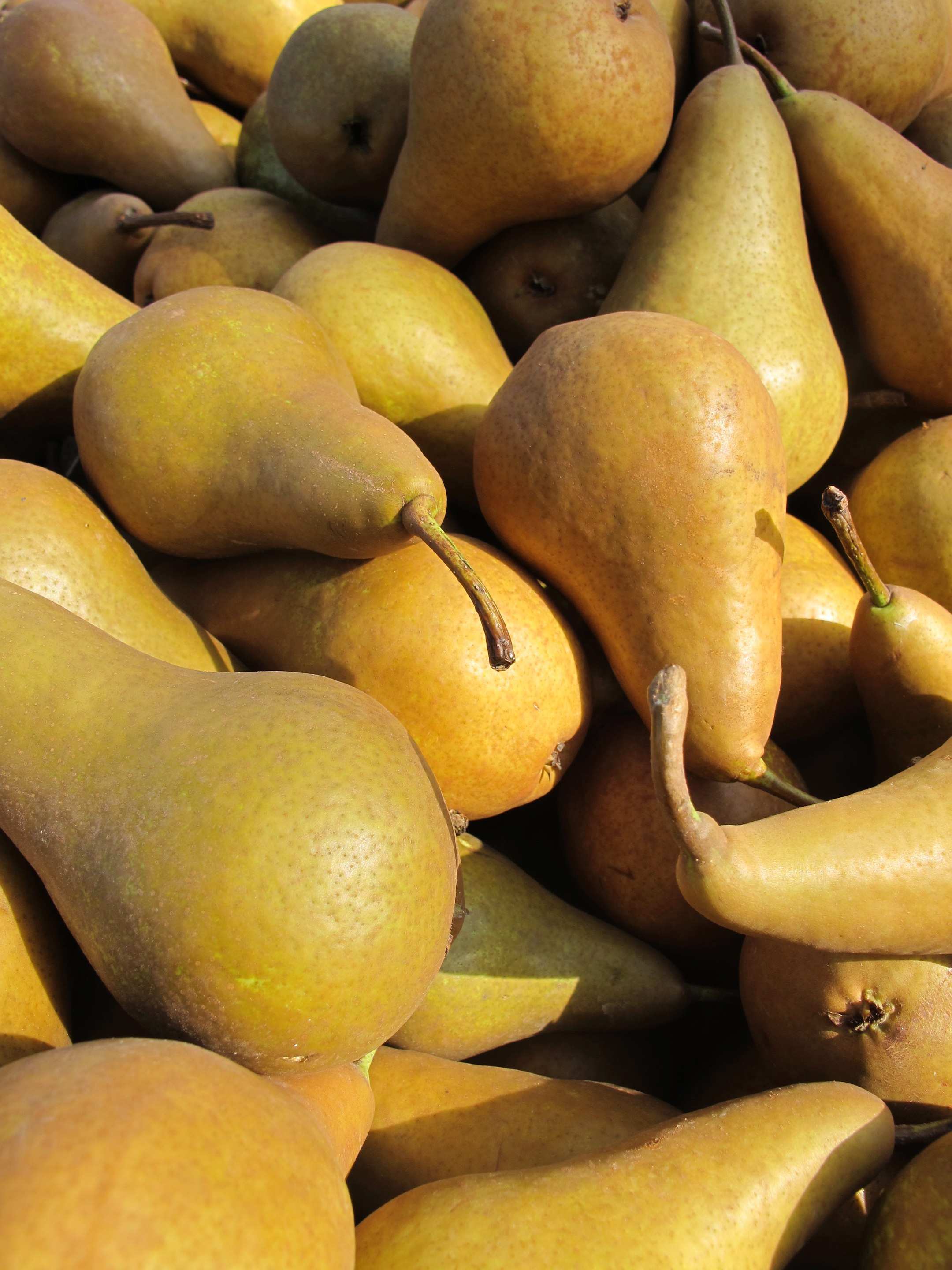 Rodney Dunn talks us through his favourite dessert, pear and walnut ...