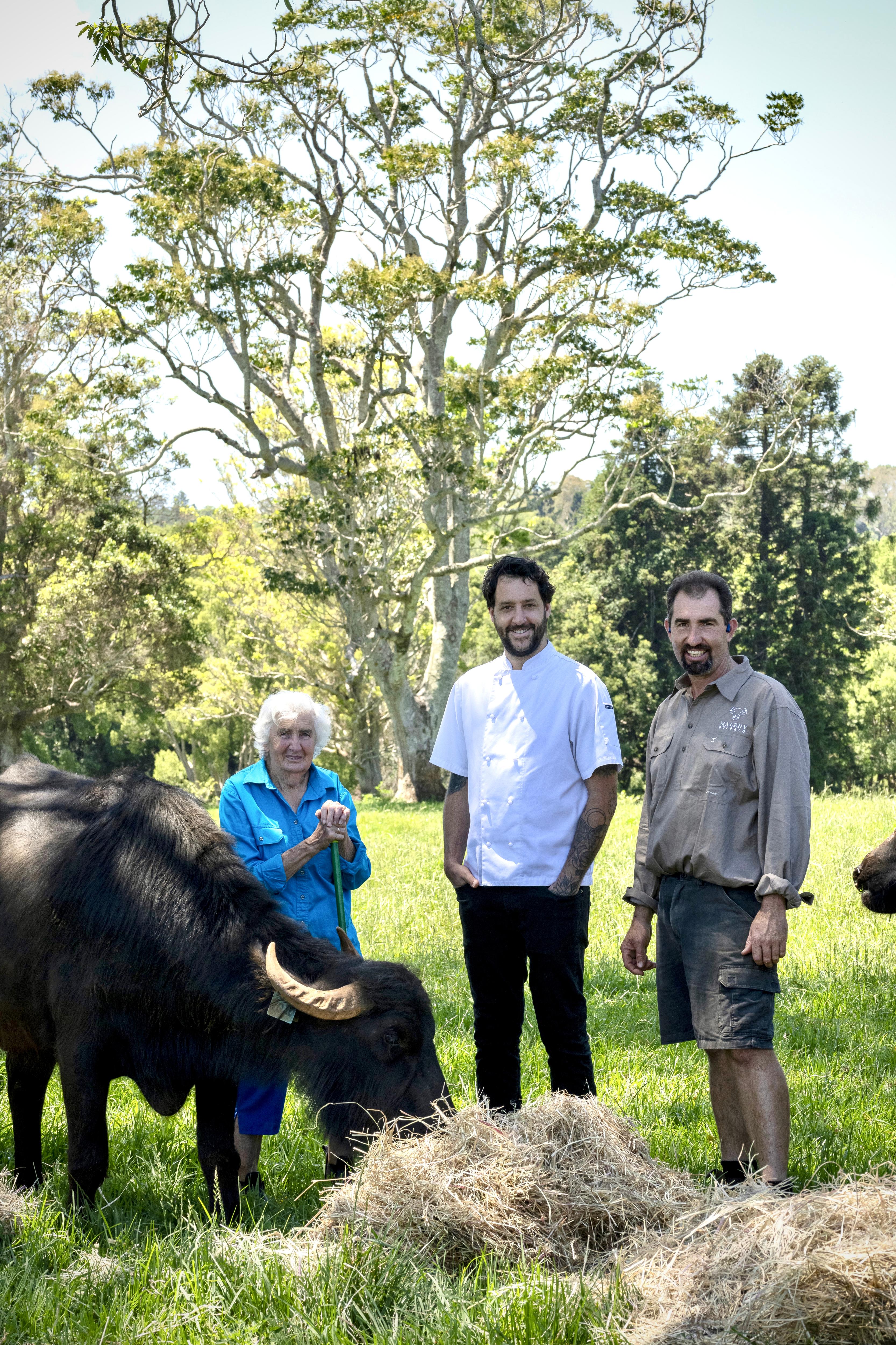 Buffalo milk and meat a healthy, versatile alternative, says pioneering ...