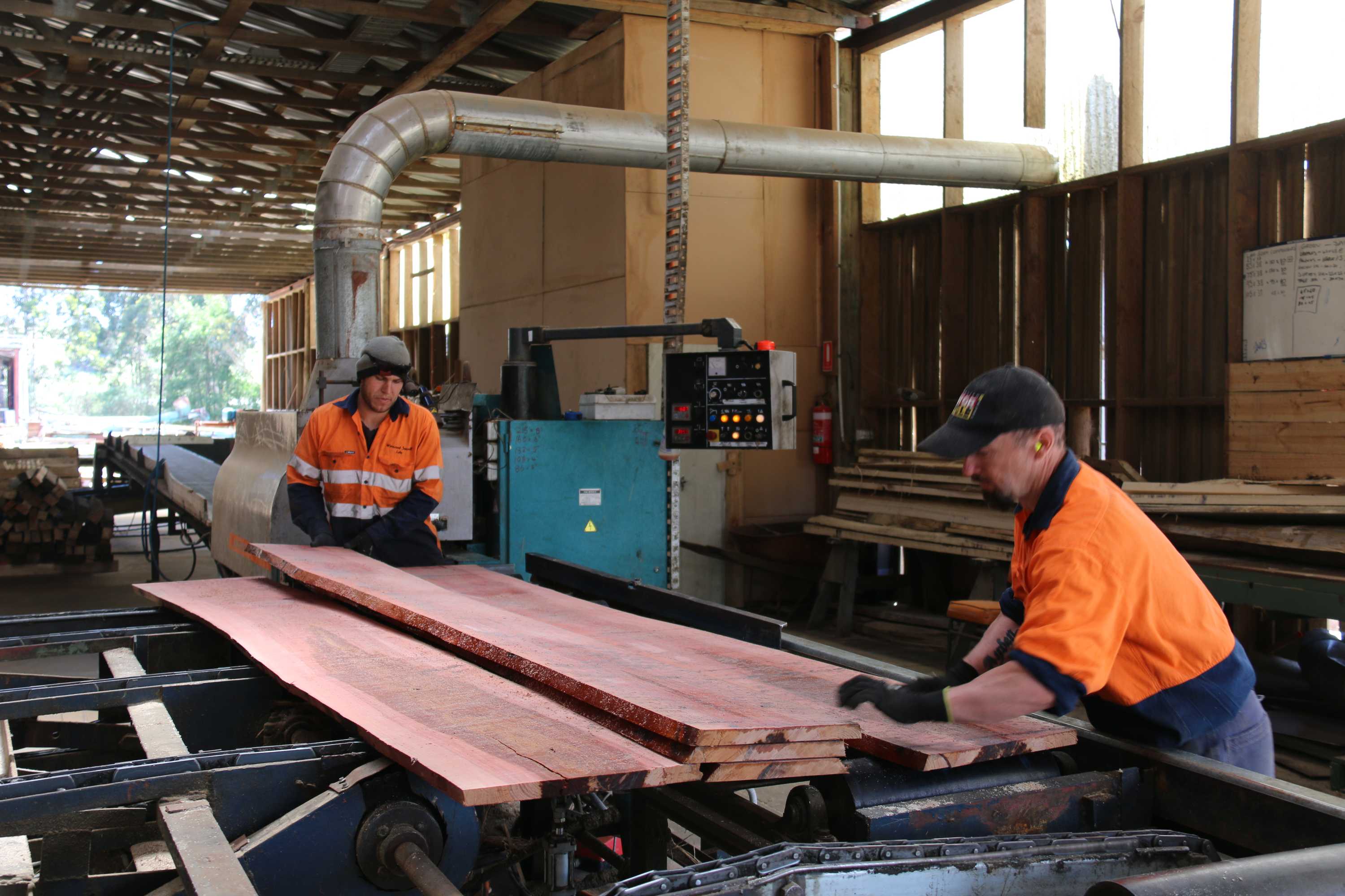 Hunt for sunken treasure: Harvesting Tasmania's forests submerged in ...