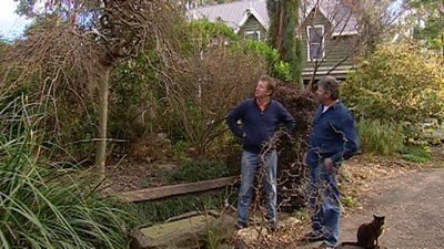 Winter Interest Plants - Gardening Australia