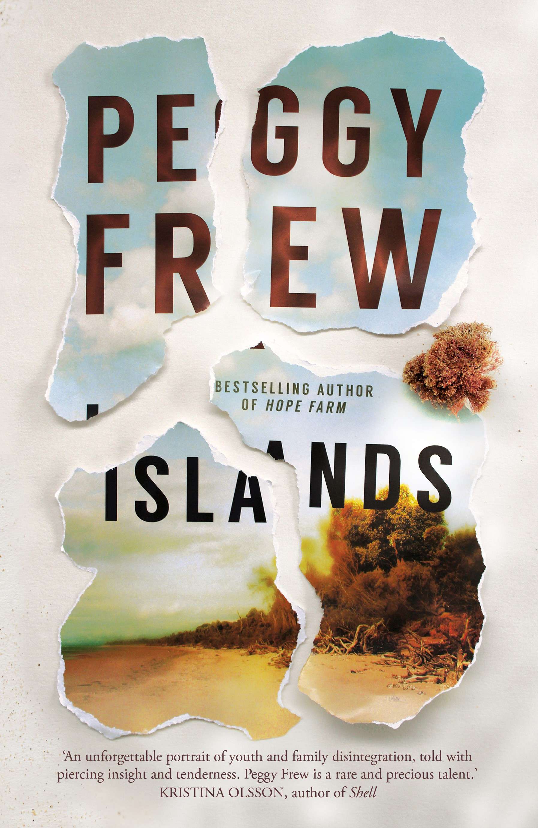 On Carrie Tiffany's Exploded View, Peggy Frew's Islands, Taylor Jenkins ...