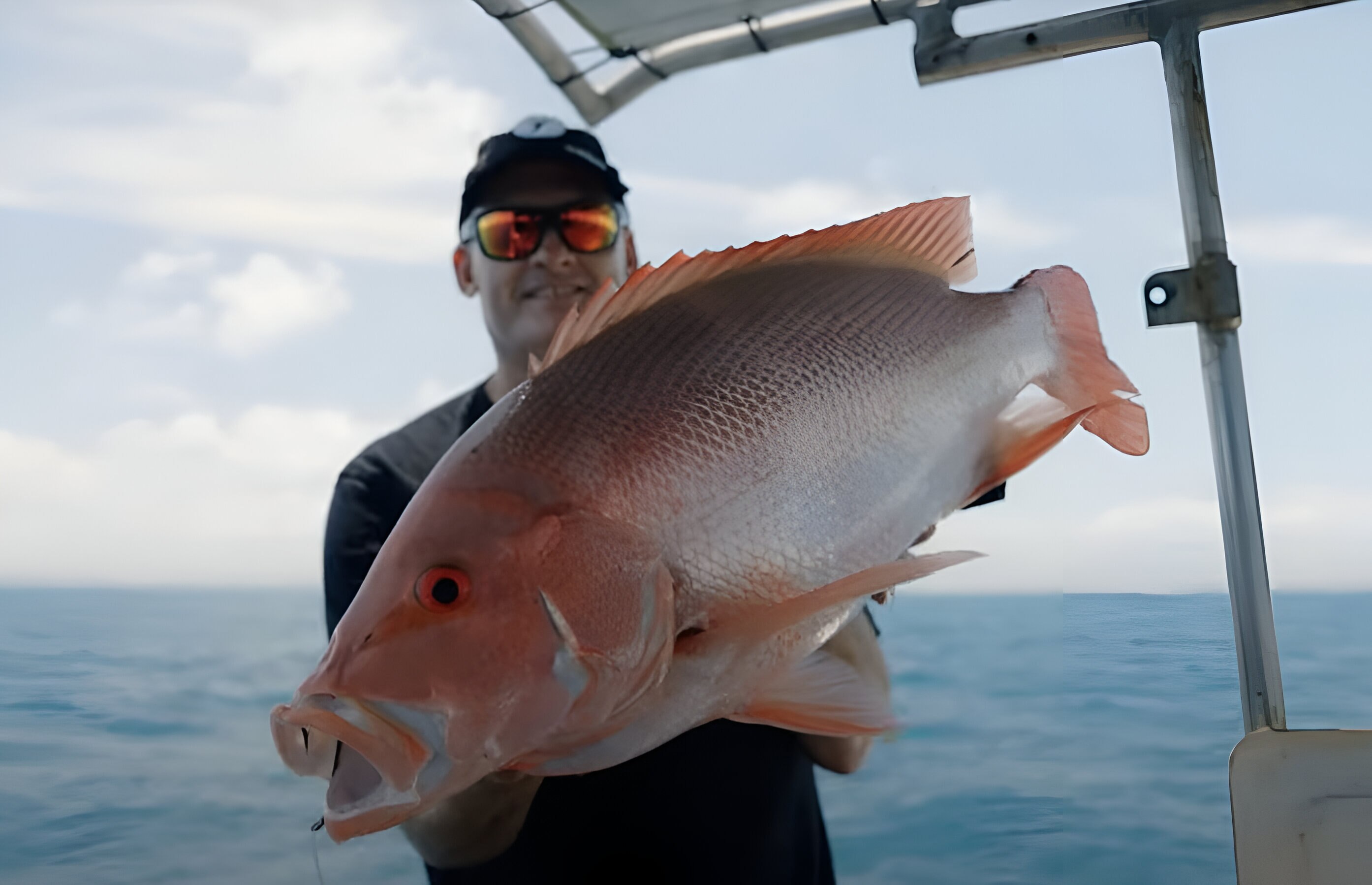 Sharks biting fishers' catch off lines highlights concern about ...