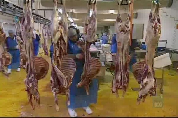 Bindaree submits Bio-digester proposal - ABC News