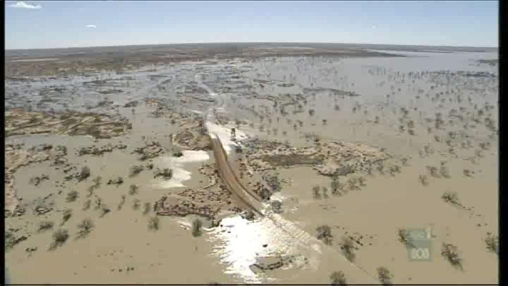 Lake Eyre wildlife blooming - ABC News