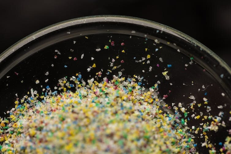 Microplastics are everywhere - ABC News