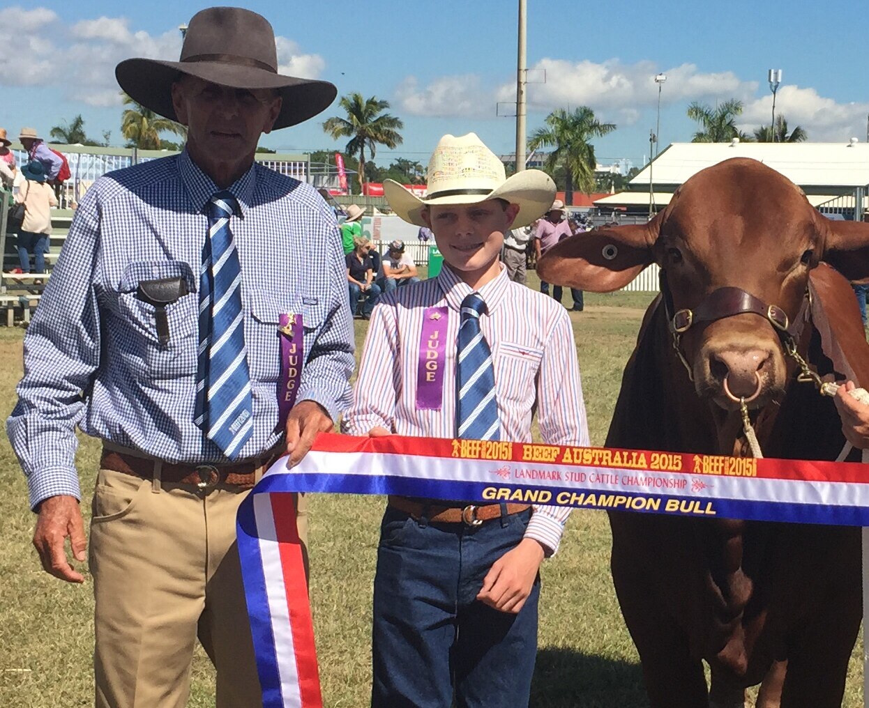 Meet the youngest cattle judge at Beef Australia 2015: William Weir ...