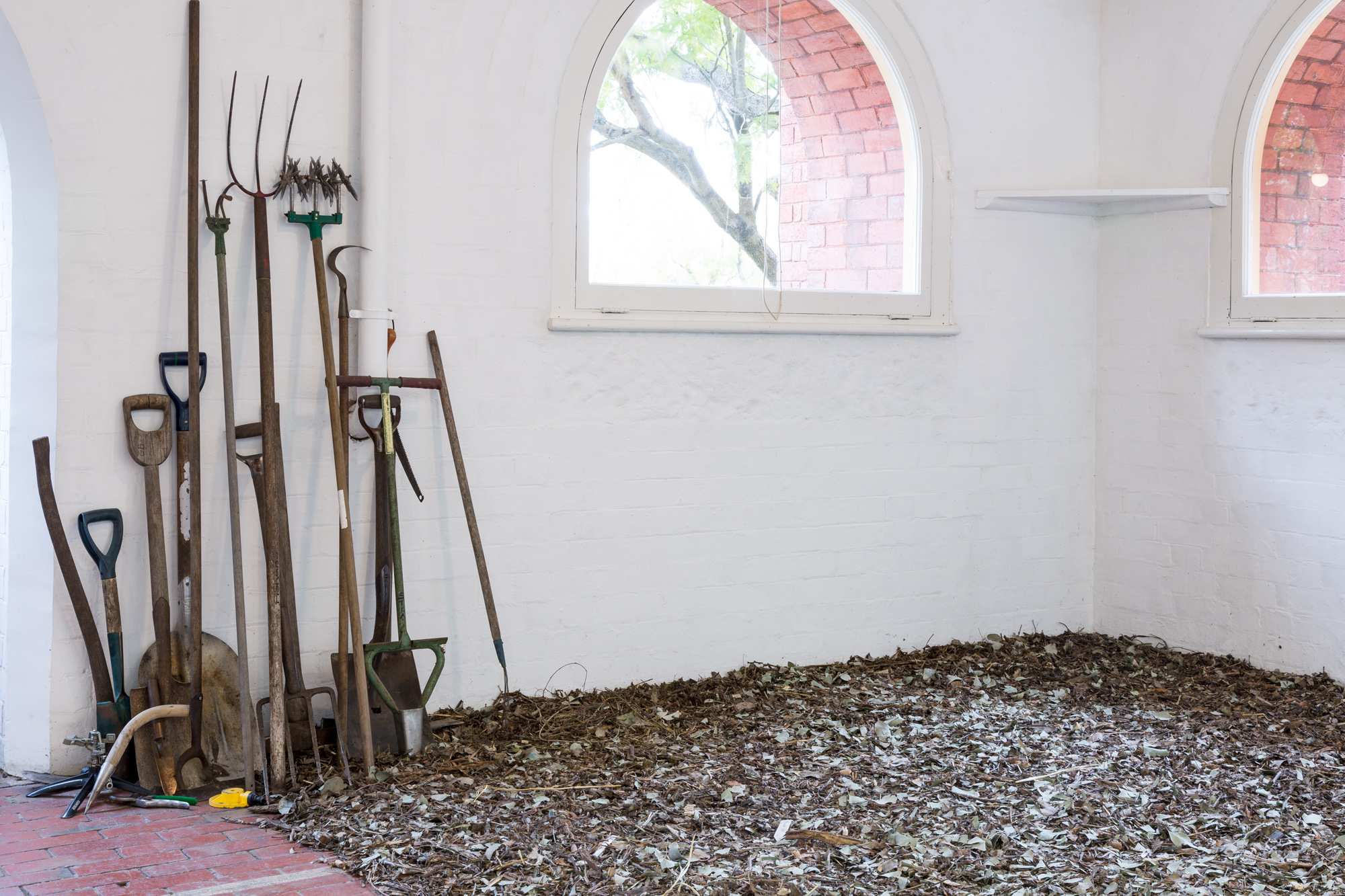 Gardening is Not a Rational Act, art exhibition - ABC Radio National