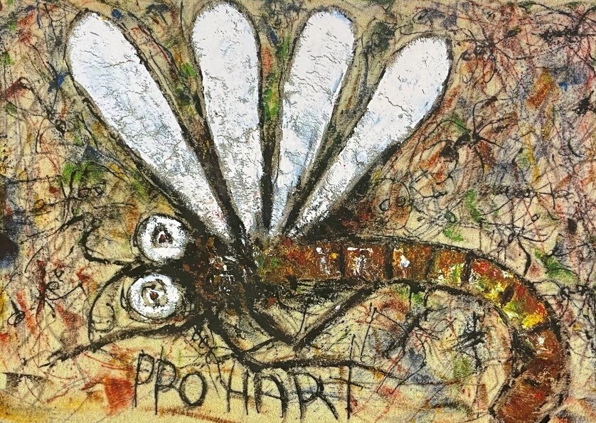 Kevin, the Broken Hill boy who became an Australian outback painting ...