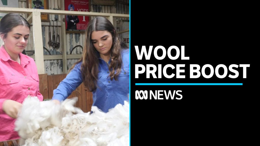 Wool producers reap benefits of workplace return - ABC News