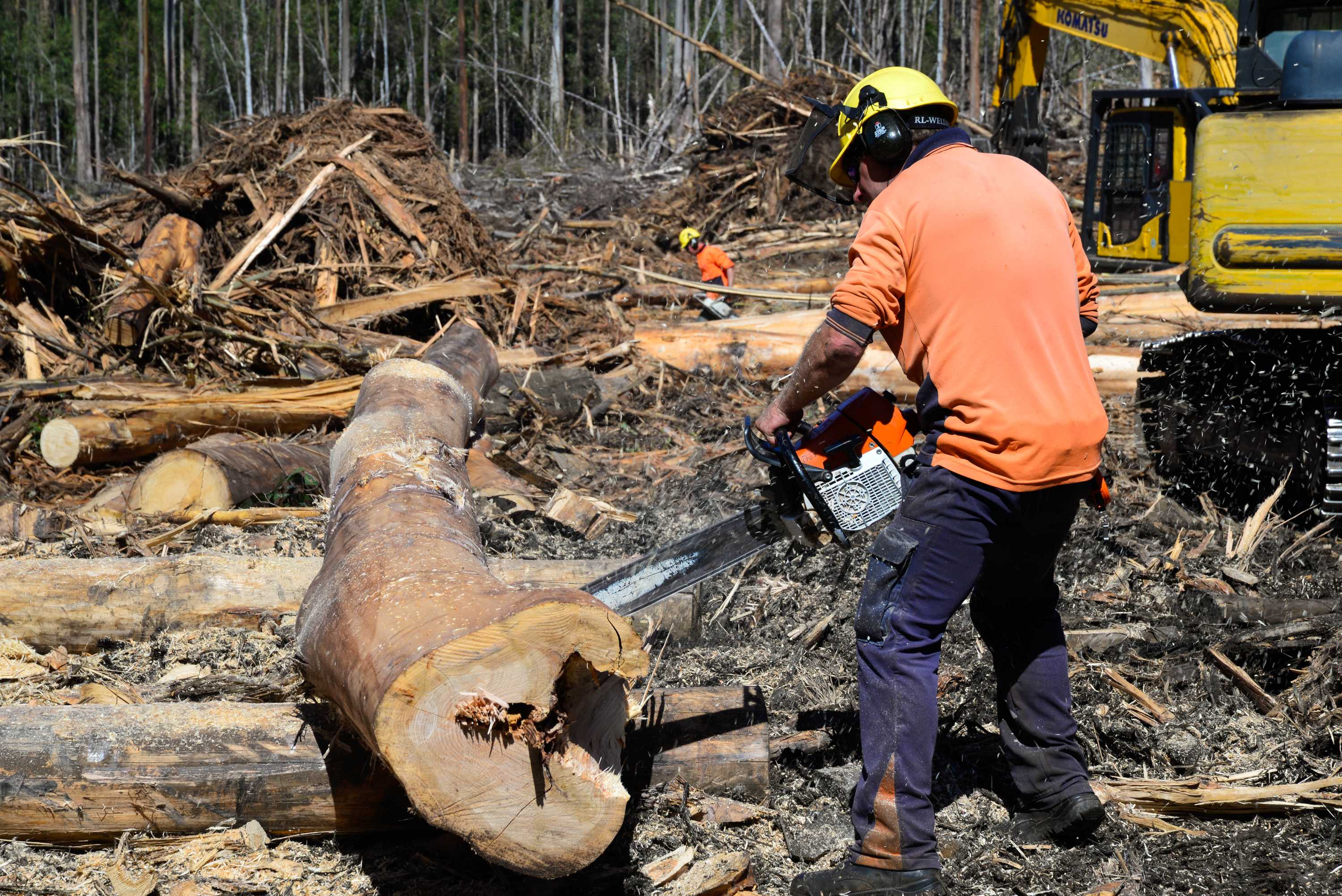 Tasmania would be better off financially if native forest logging was ...