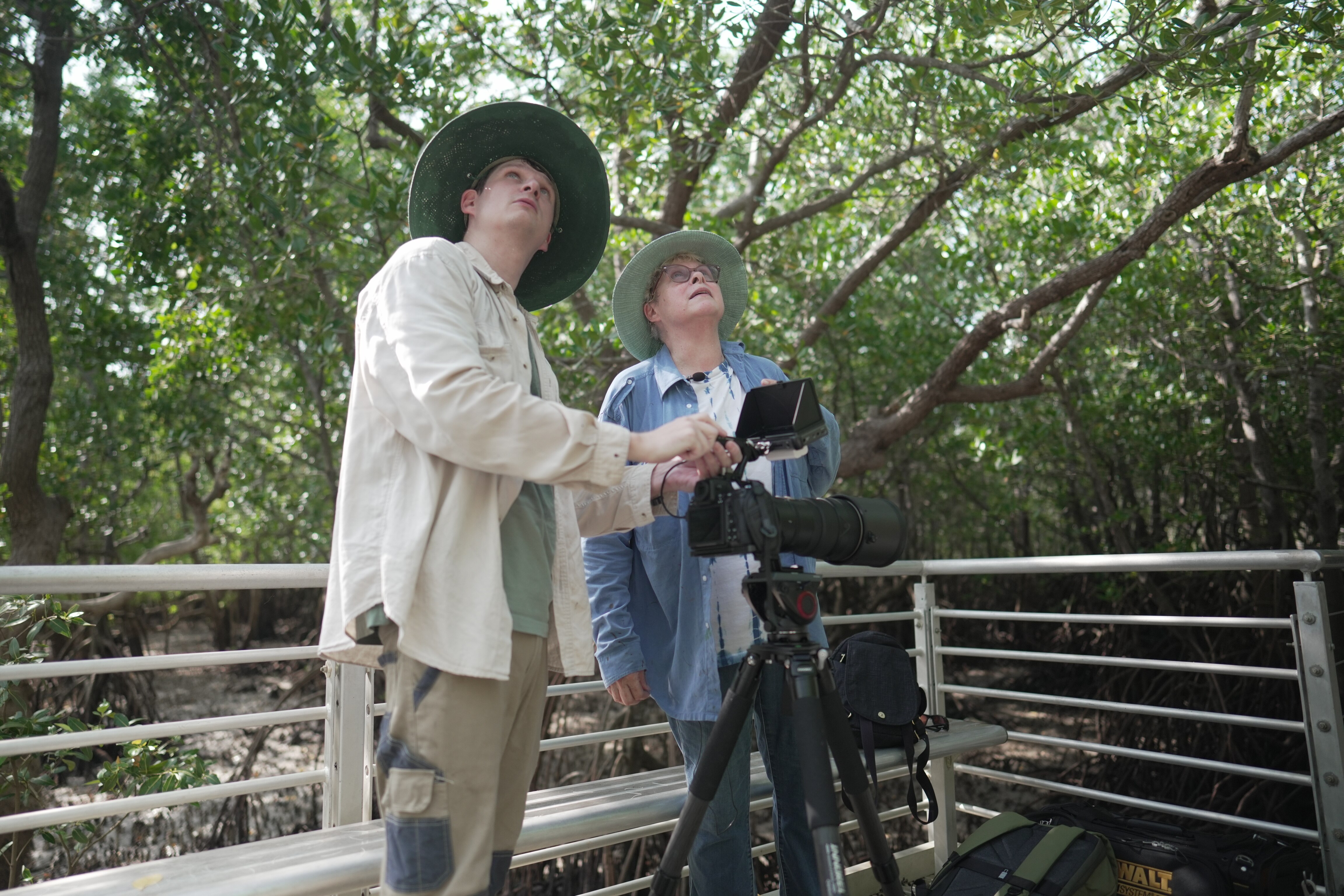 Darwin artists bring magic of tropical mangroves to life for national ...