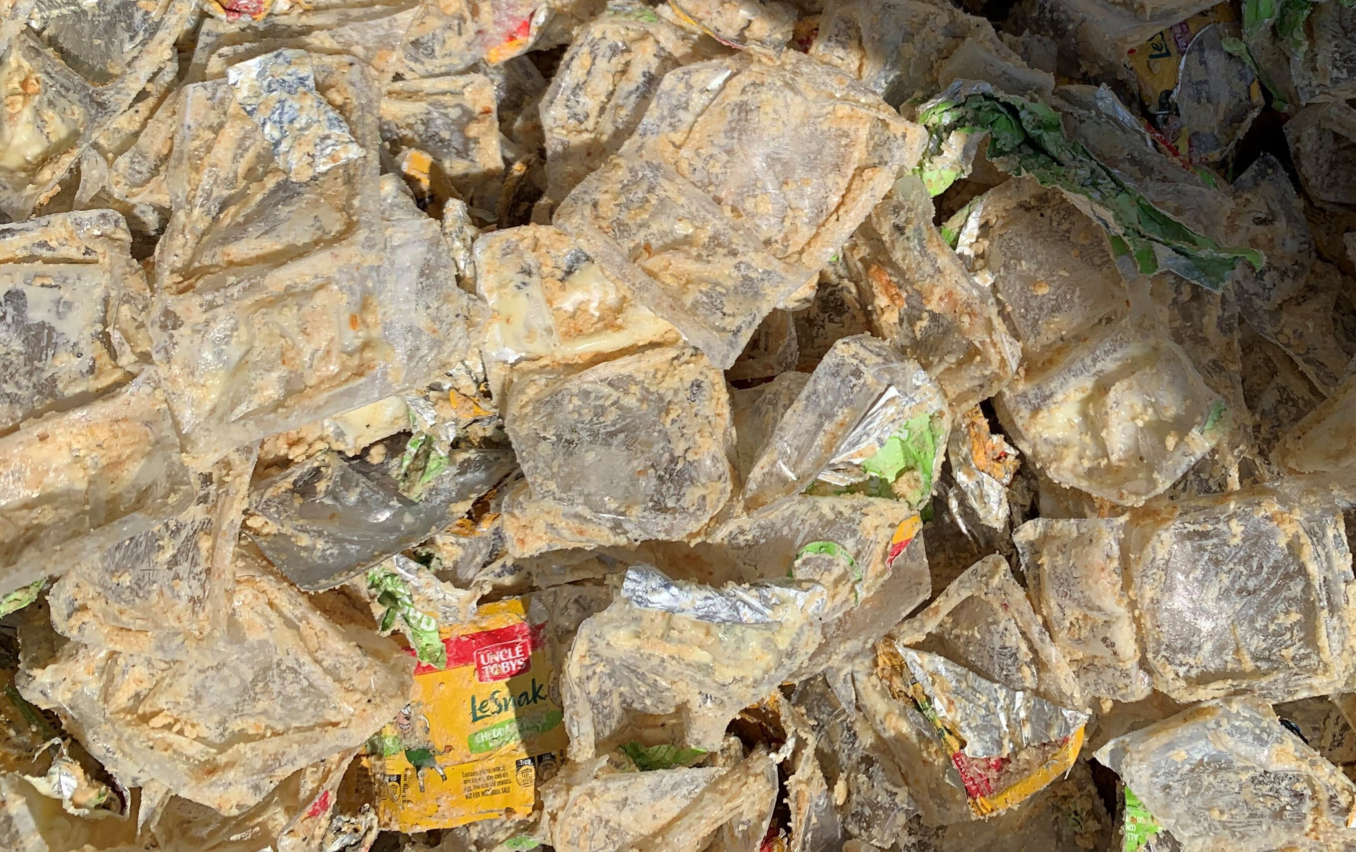 Robotics and millions of maggots to convert food waste to fodder after ...