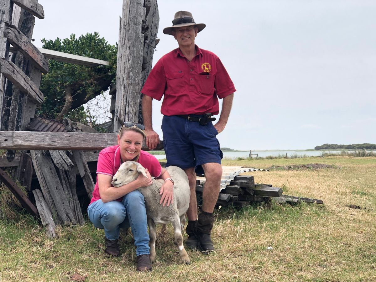 How do you run cattle and sheep in a swamp? This farm has done it for ...