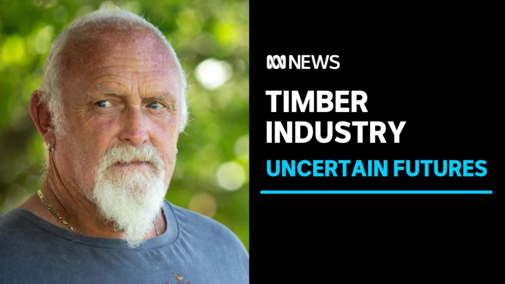Timber business under pressure amid rolling stop-work orders - ABC News