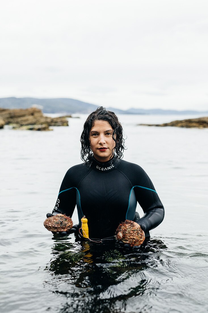 State planning process criticised following Portland abalone farm ...