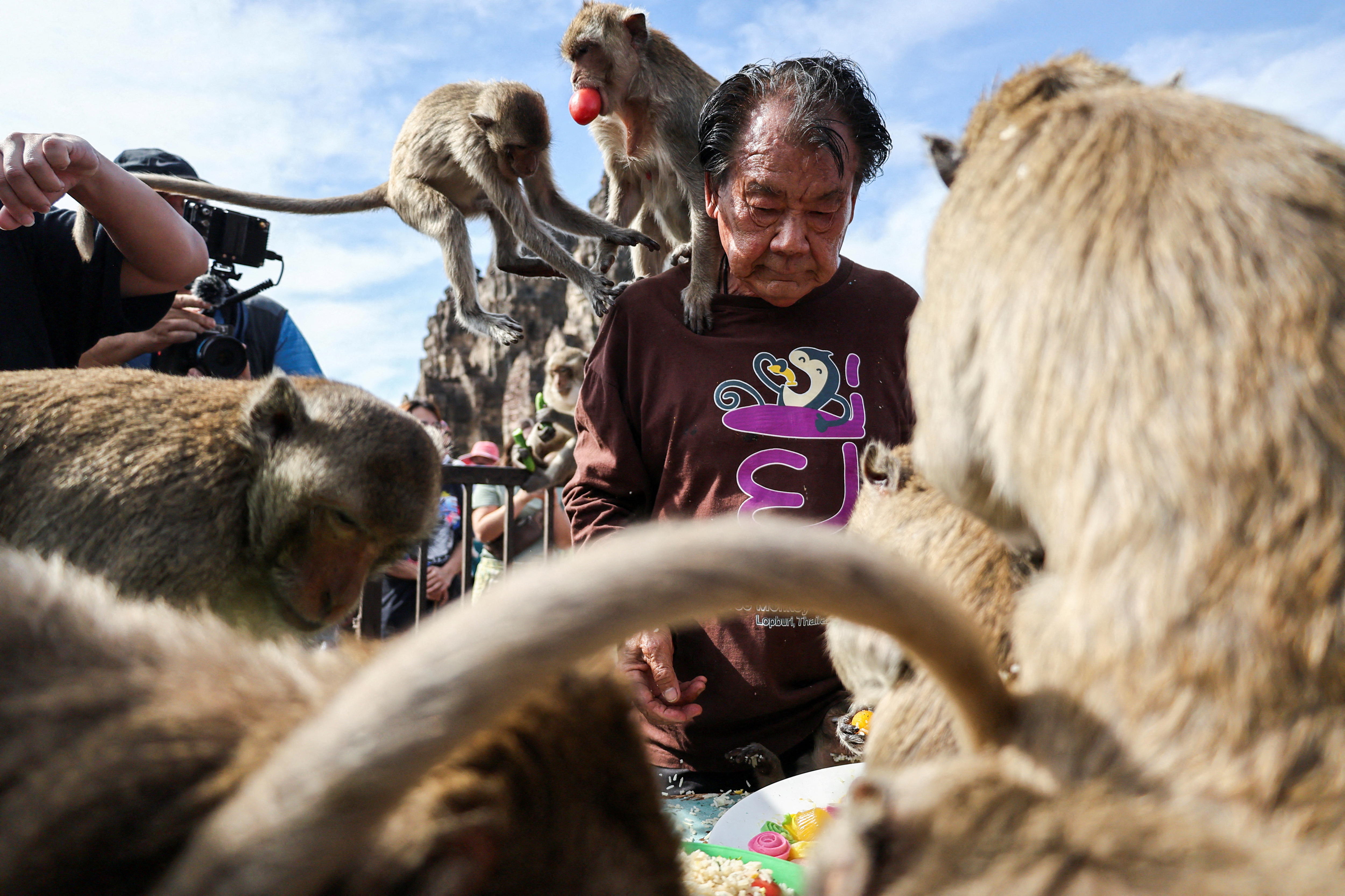 Thai officials unveil plan to control Lopburi's macaque population ...