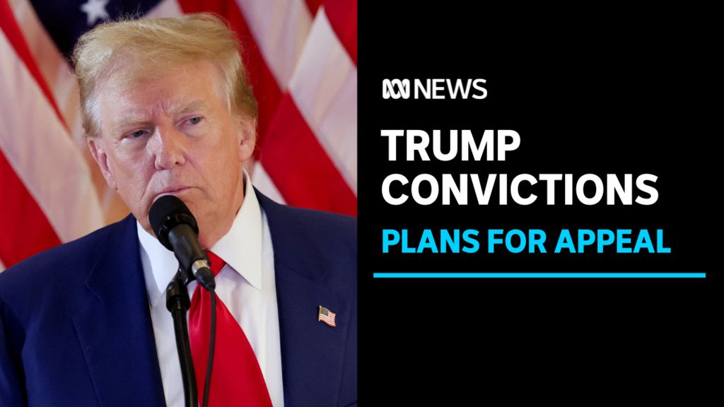 Donald Trump plans to appeal criminal convictions - ABC News