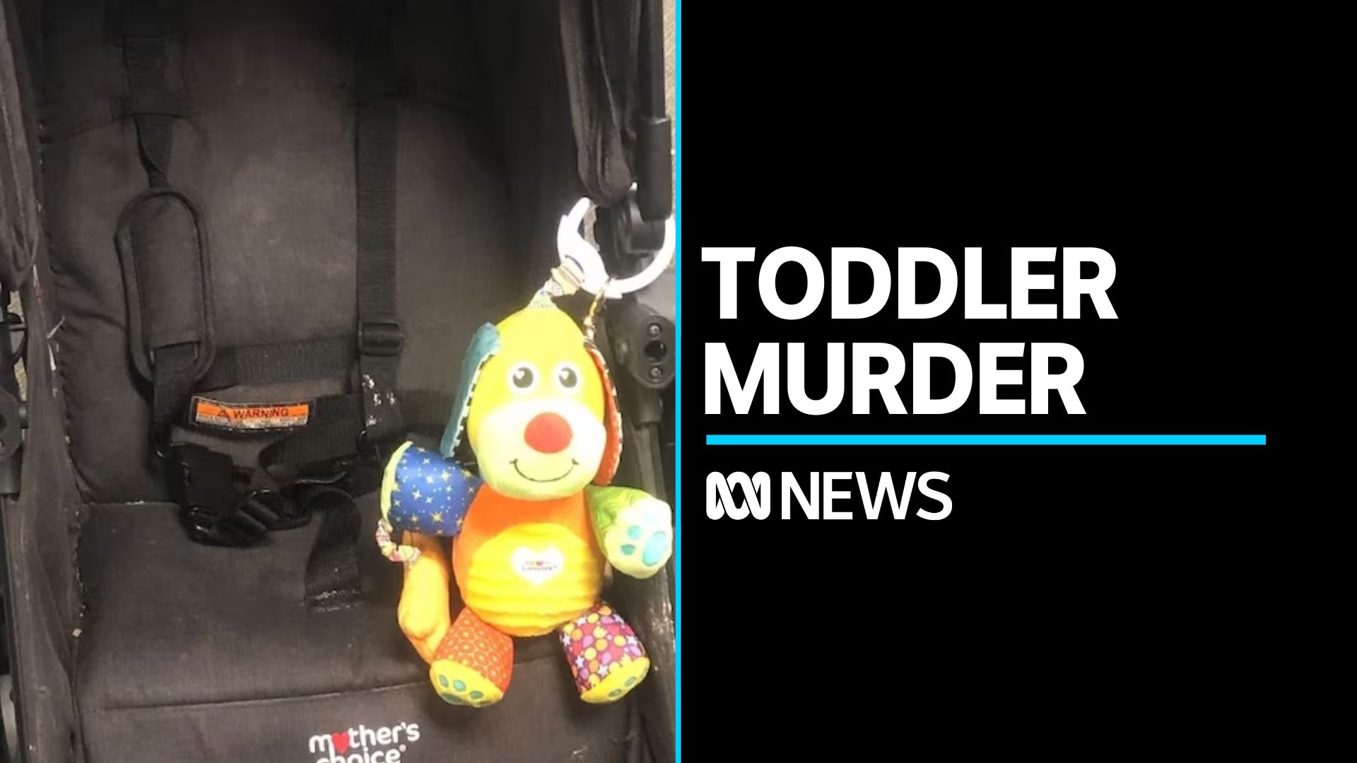 Murder investigation launched into death of 17-month-old boy - ABC News