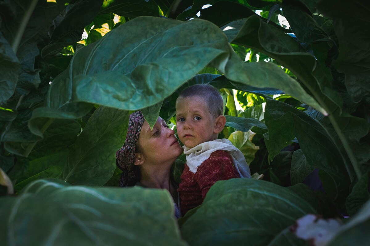 Happy as Lazzaro is a magical neorealist fable that doubles as a ...