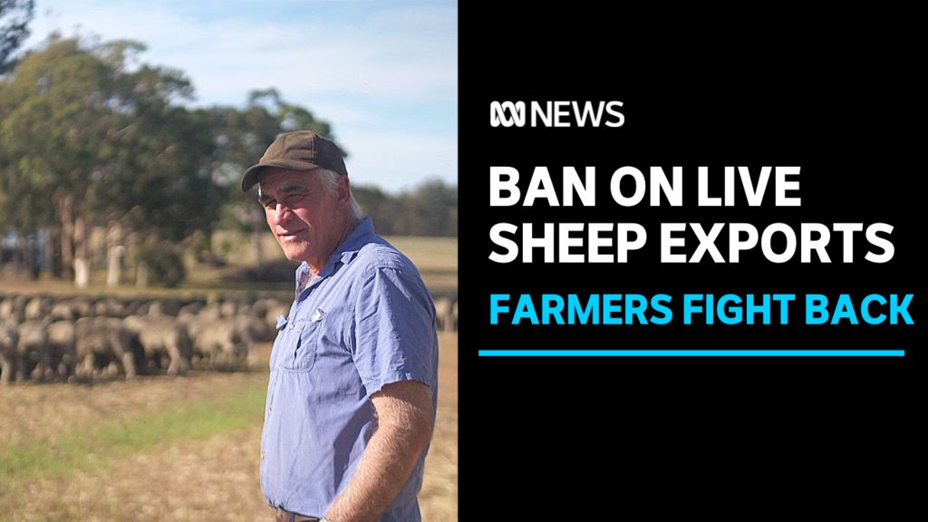 News From Western Australia : ABC iview