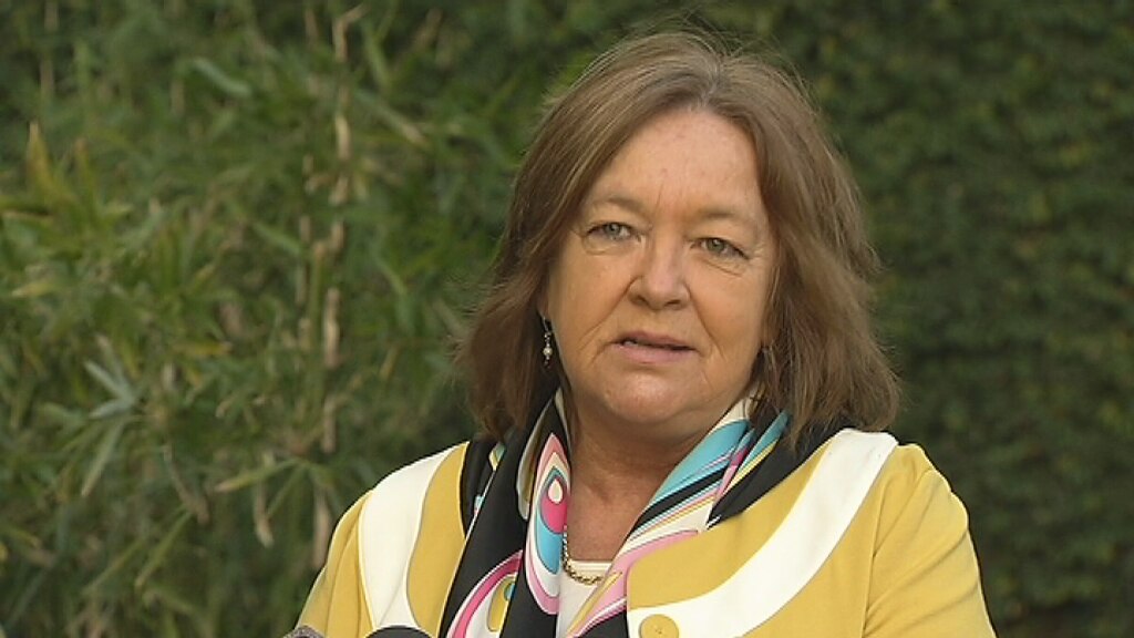 Calls for ACT Education Minister to resign over offensive re-tweet ...