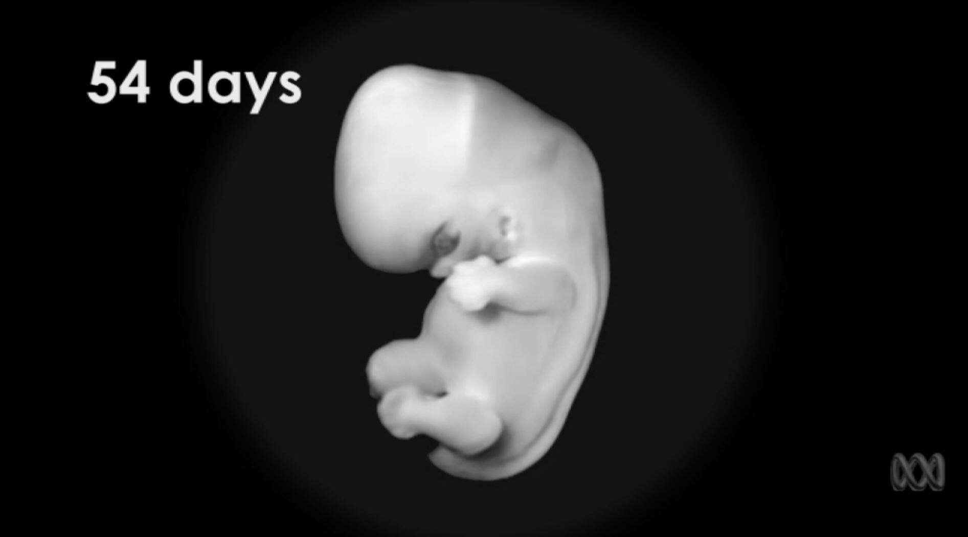 Chinese gene-editing scientist He Jiankui may have made the twins ...