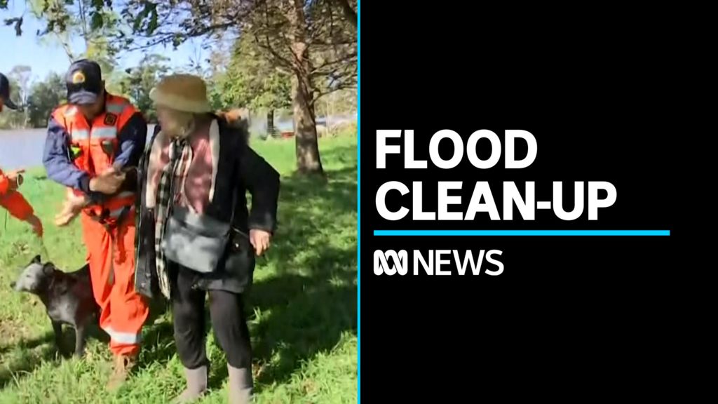 Clean-up operations underway in flood-affected NSW - ABC News