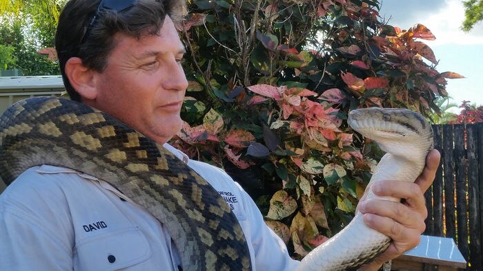 Animals - Topic - ABC News