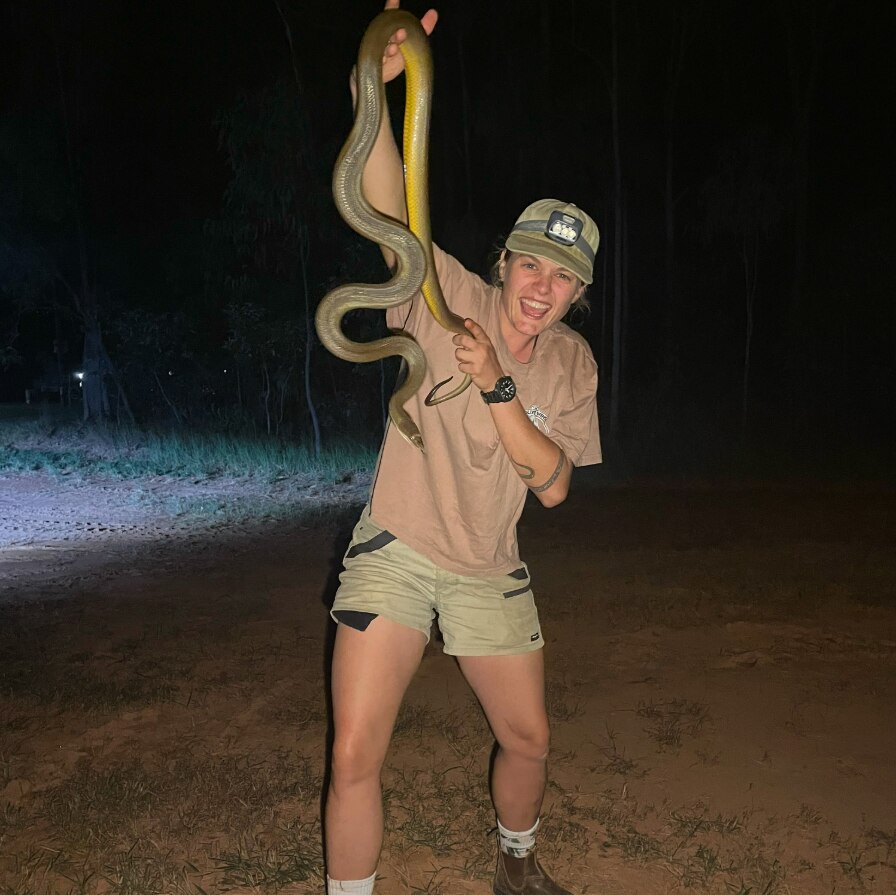 Women snake catchers say humans are often the hard part - ABC News