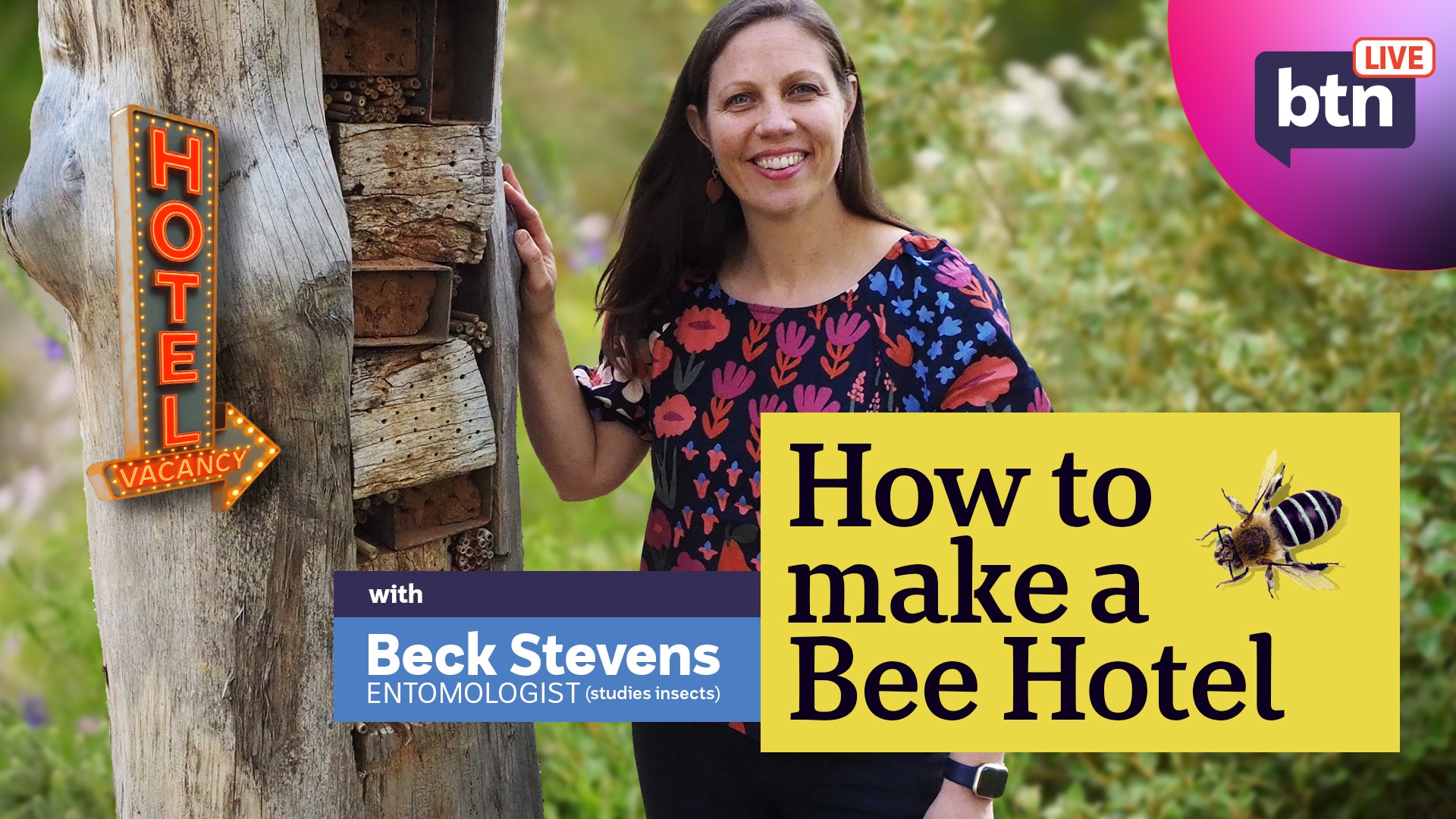 World Bee Day - Behind The News