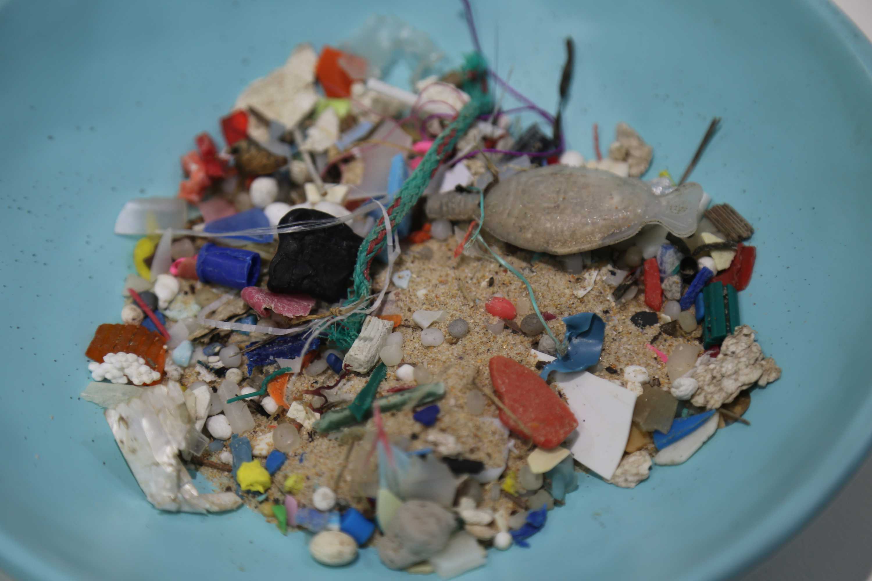 AusMAP's war on microplastic pollution enlists foot soldiers from all ...