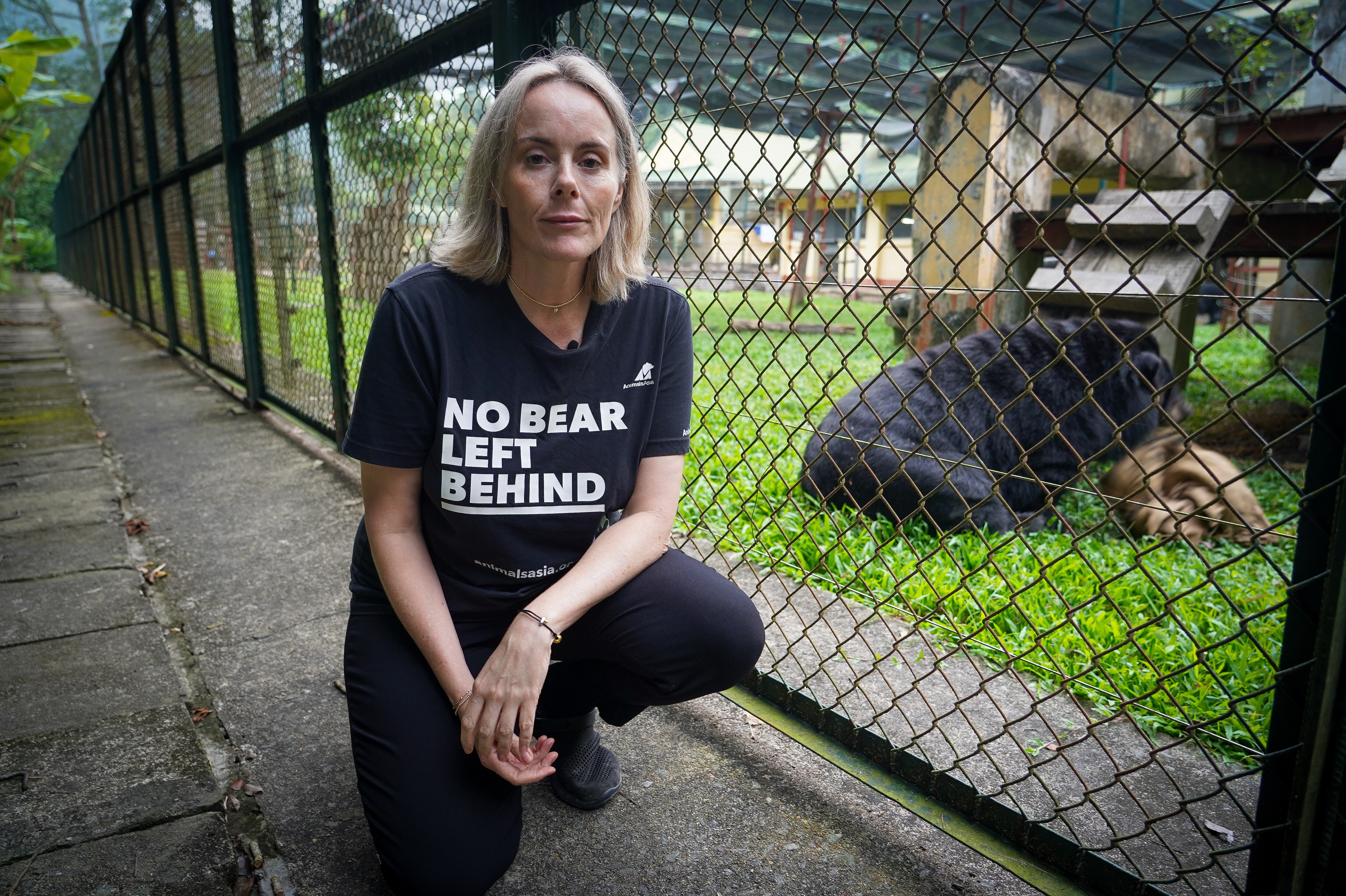 Nearly 20 years after bear bile farming was banned in Vietnam, hundreds ...