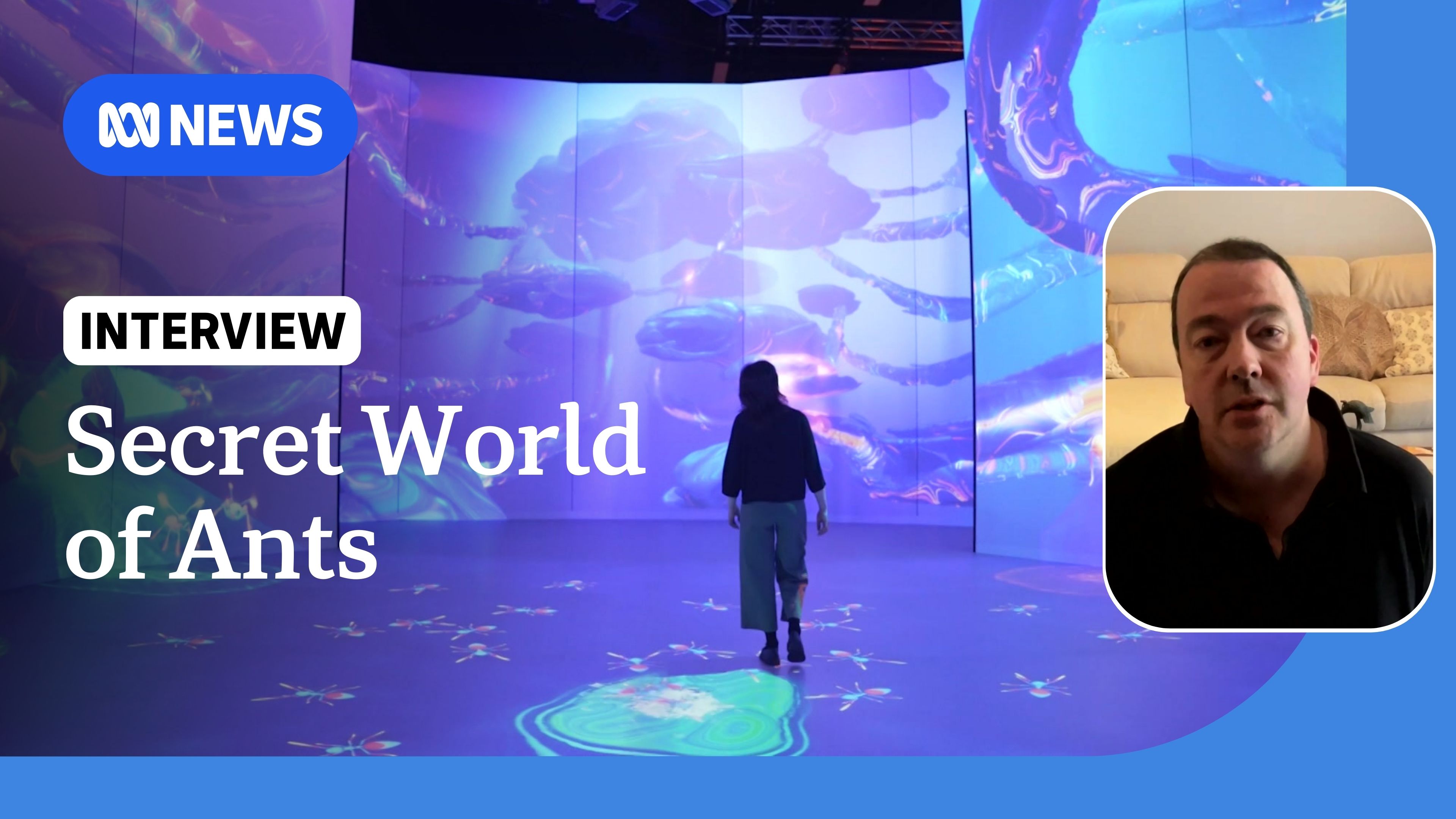 'Antopia': Melbourne Museum to explore the complex world of ants - ABC News