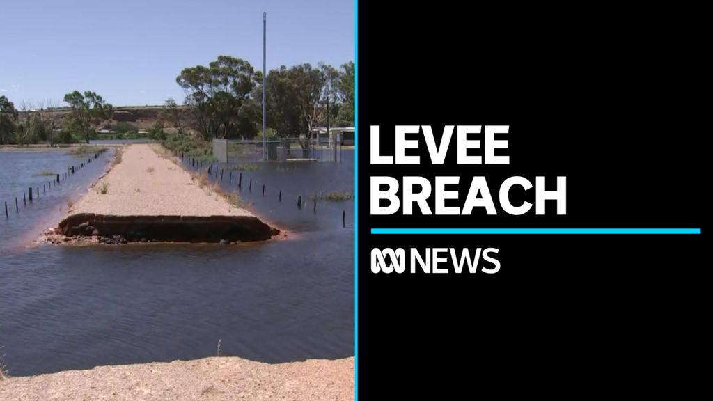 River Murray floods breach levees - ABC News
