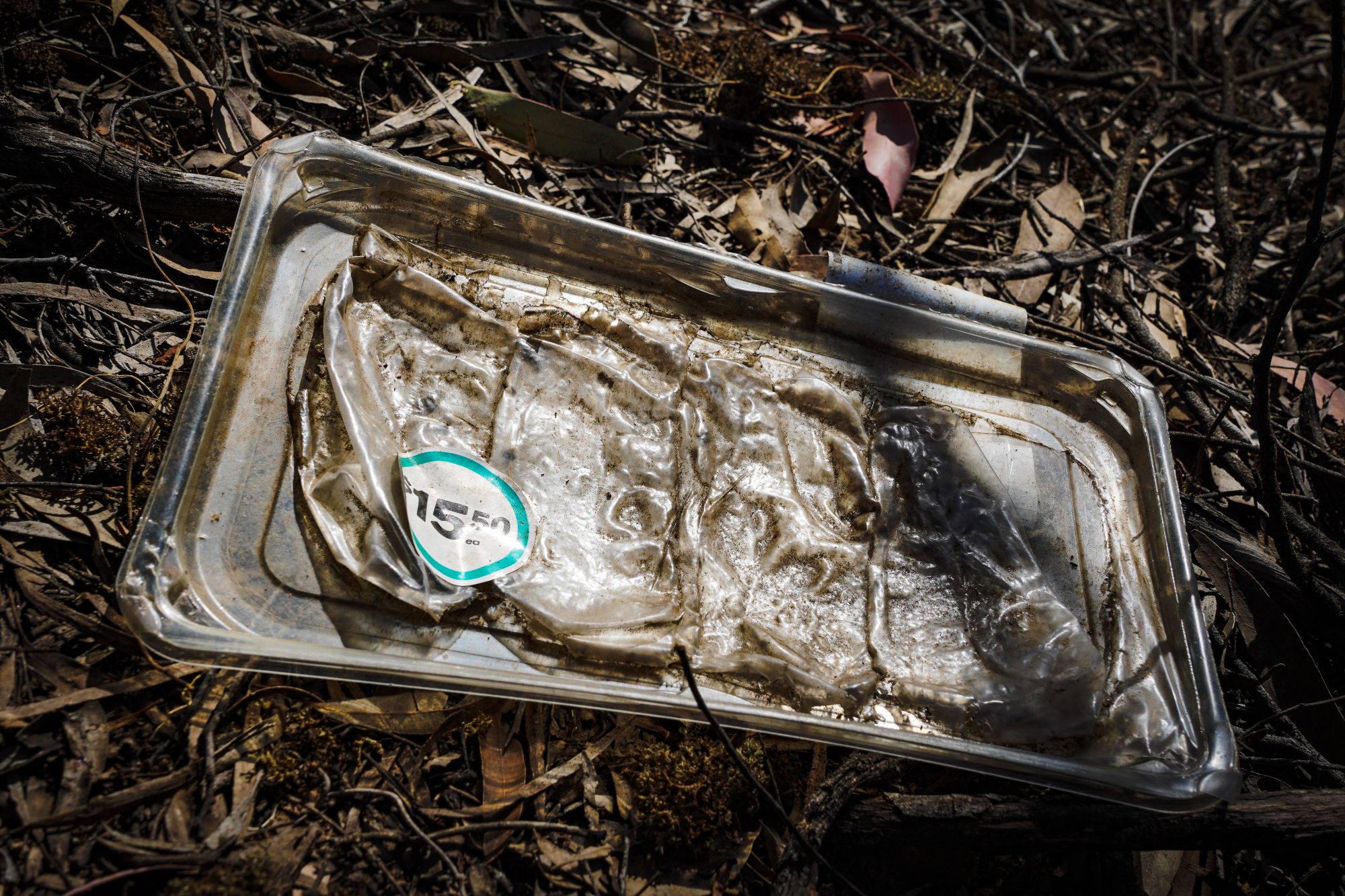 Families who can't find rental housing left with no choice but to live ...