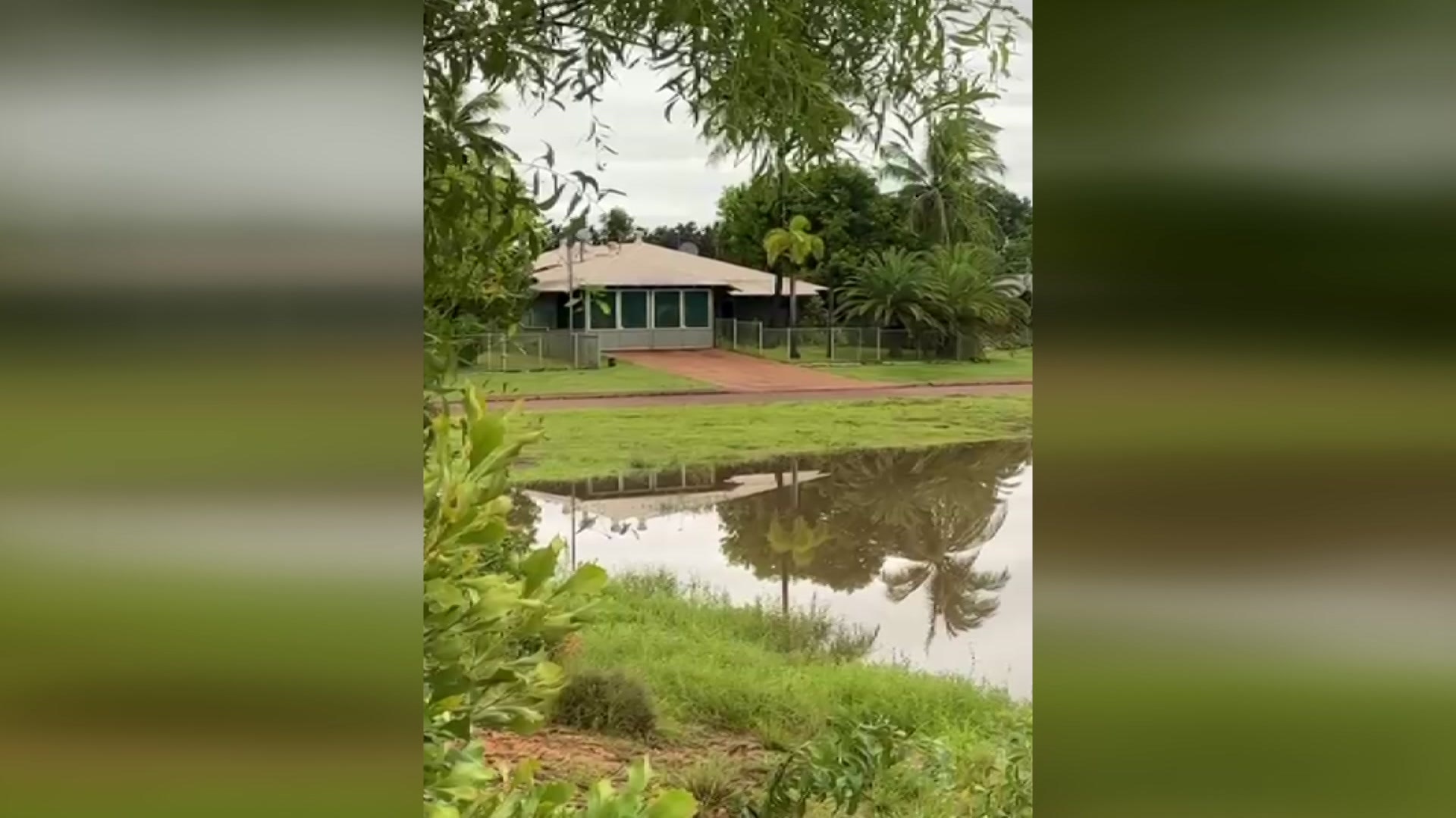 Helicopter at North Steyne Beach after shark attack - ABC News