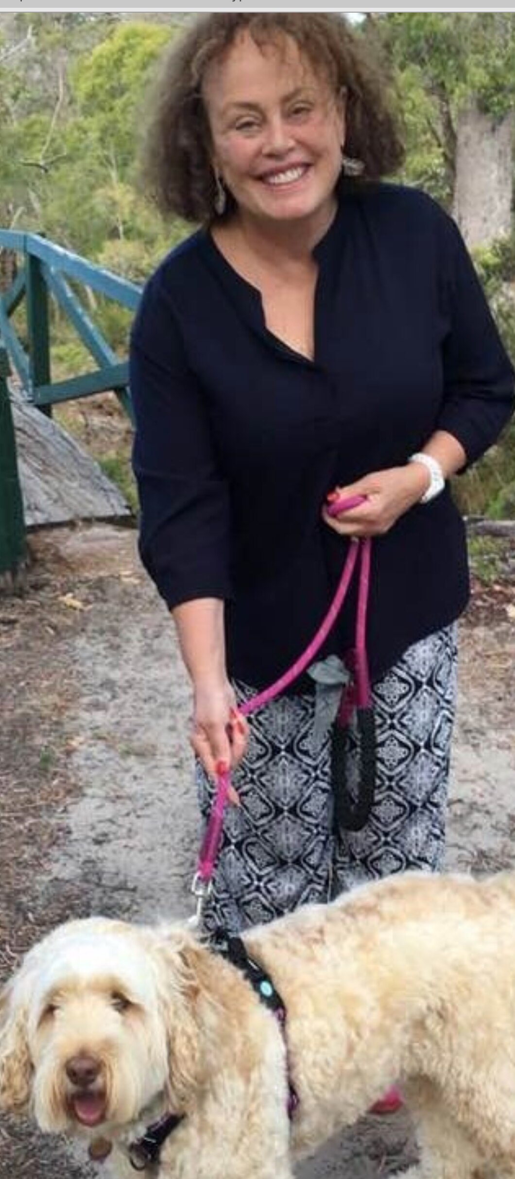 Barrister Judith Fordham tells of assault by ex-judge as WA lawyers ...