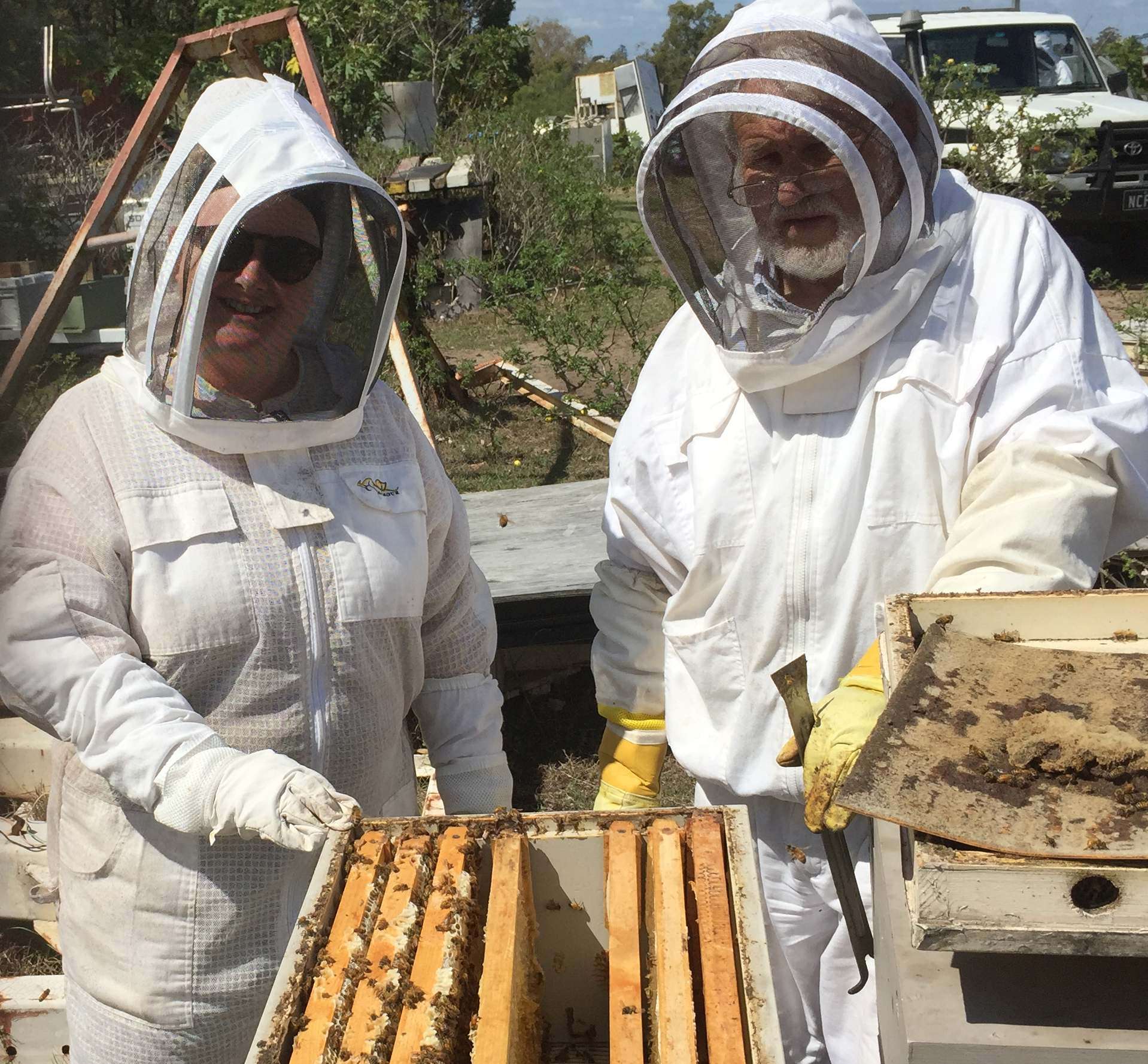 Honey Bee School - ABC listen