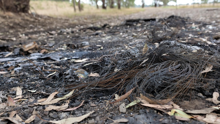 Three charged with murder after body found in burning car on Christmas ... Three charged with murder after body found in burning car on Christmas ...