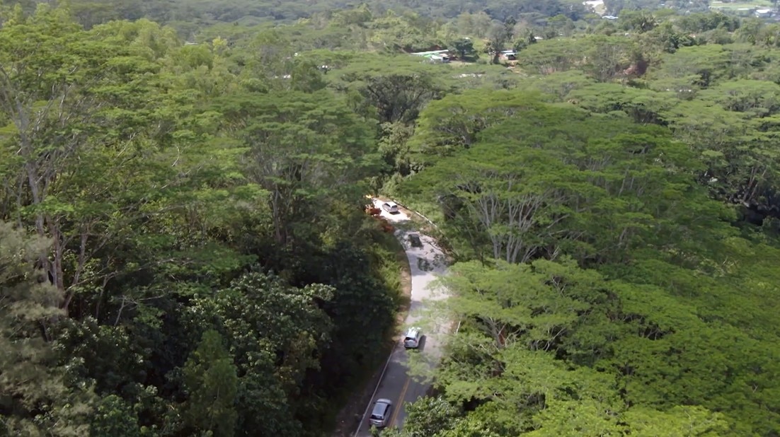 Driving through the Timor-Leste jungle - ABC News