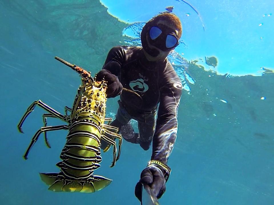 Brodie 'Youngbloods' Moss quit his job as an electrician to become a ...