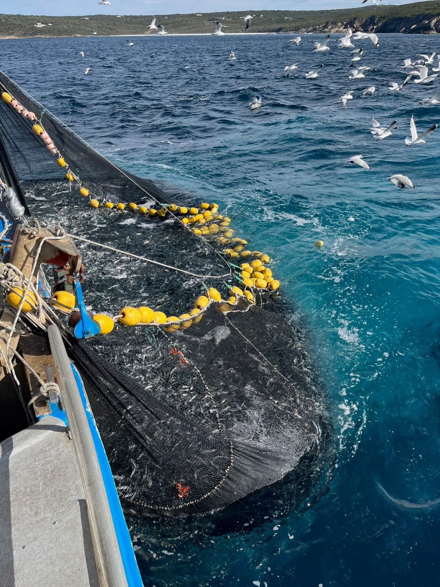 Western Australia Country Hour - ABC listen