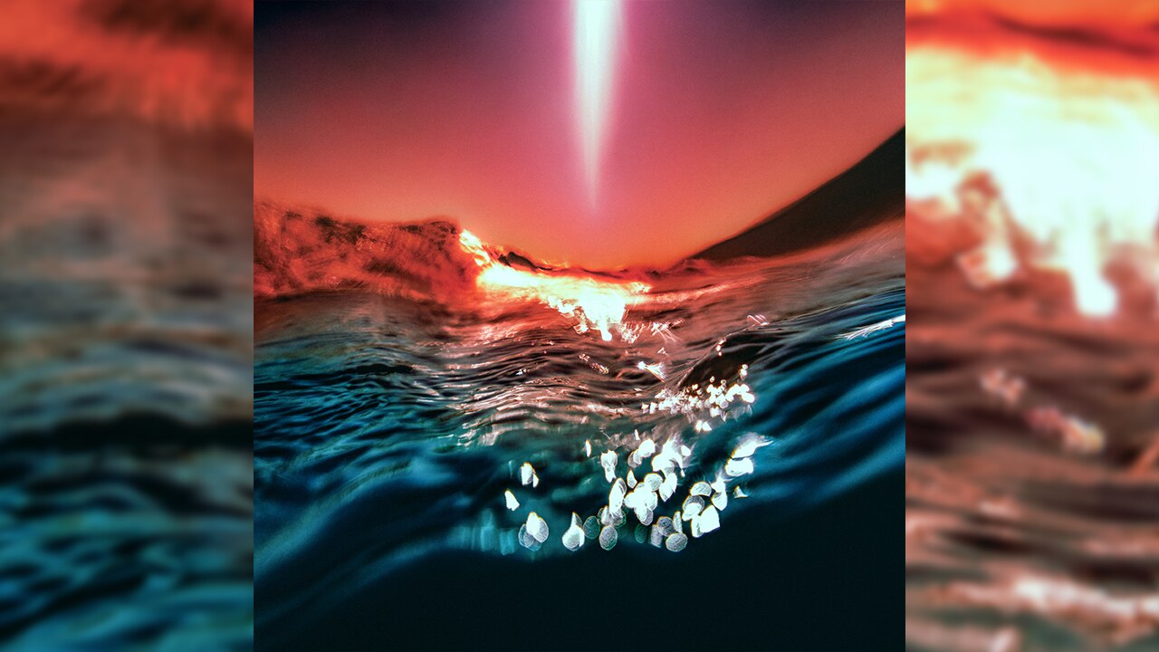 Bonobo – Fragments - Double J