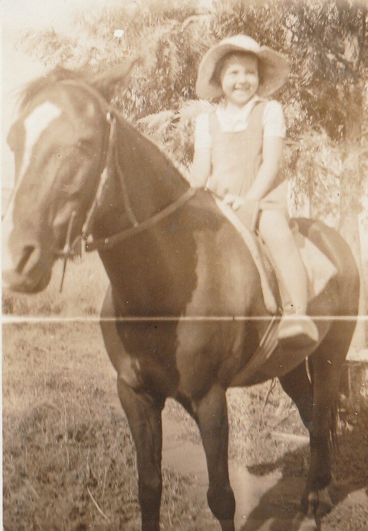 Chinchilla farm life immortalised in new book - ABC listen